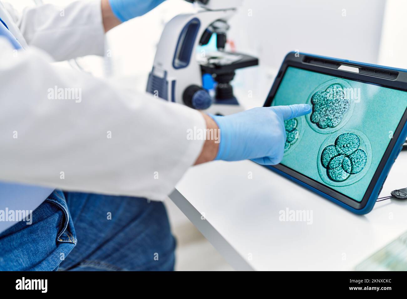 Middle age grey-haired man wearing scientist uniform looking embryology ...