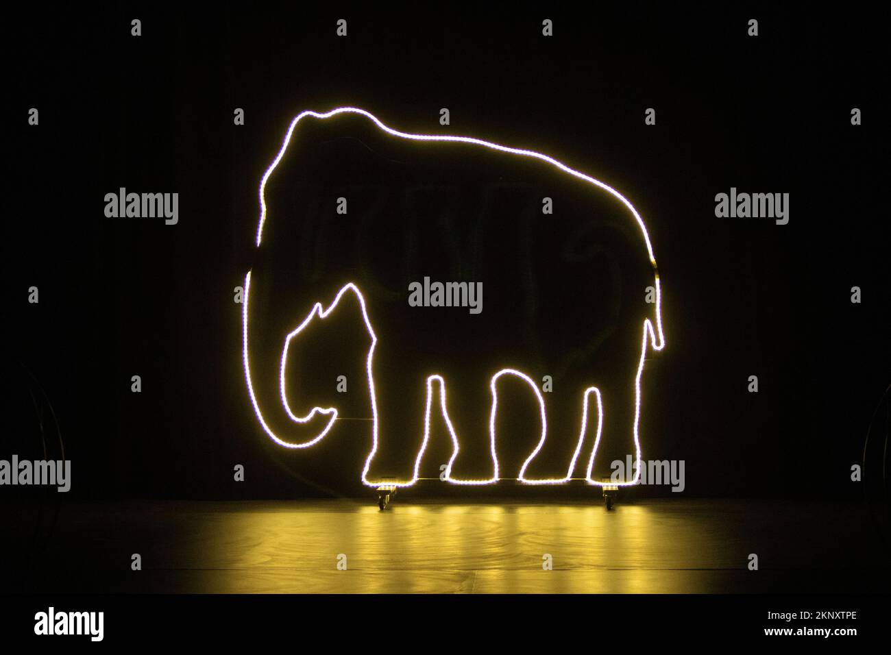 A neon light sign outline of an elephant with a dark background Stock ...