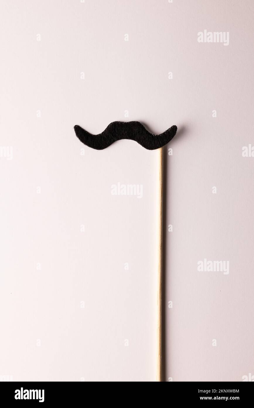 Composition of fake moustache on stick on white background with copy ...