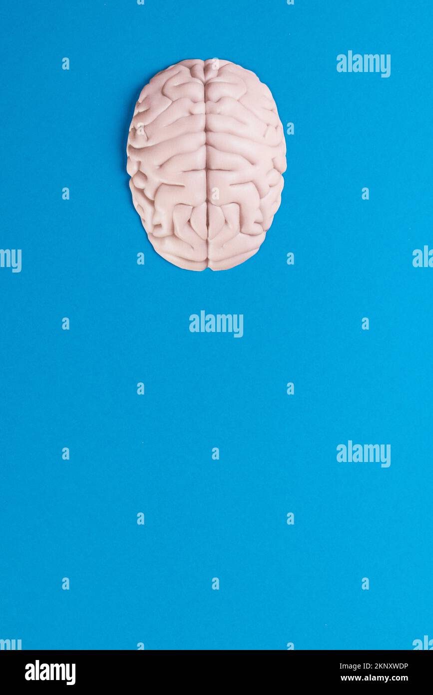 Vertical, overhead composition of white brain on blue background with ...