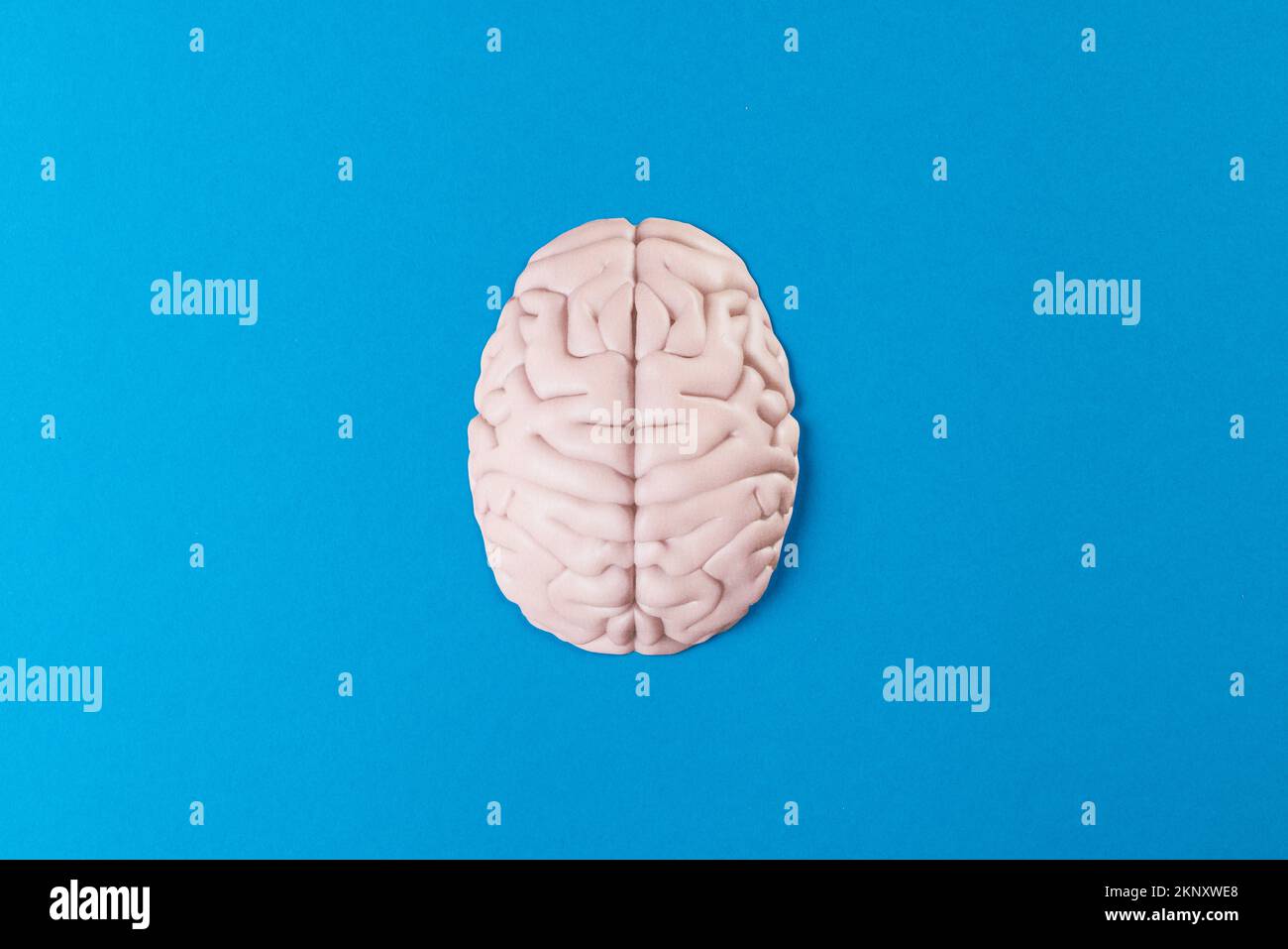 Overhead of white brain on blue background with copy space Stock Photo ...