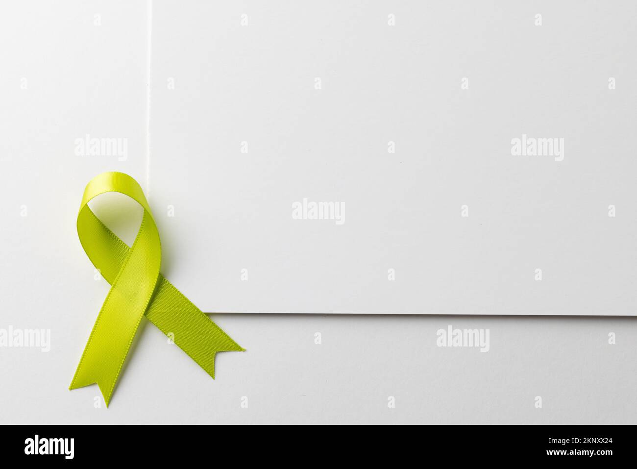Vertical composition of light green std health awareness ribbon and ...