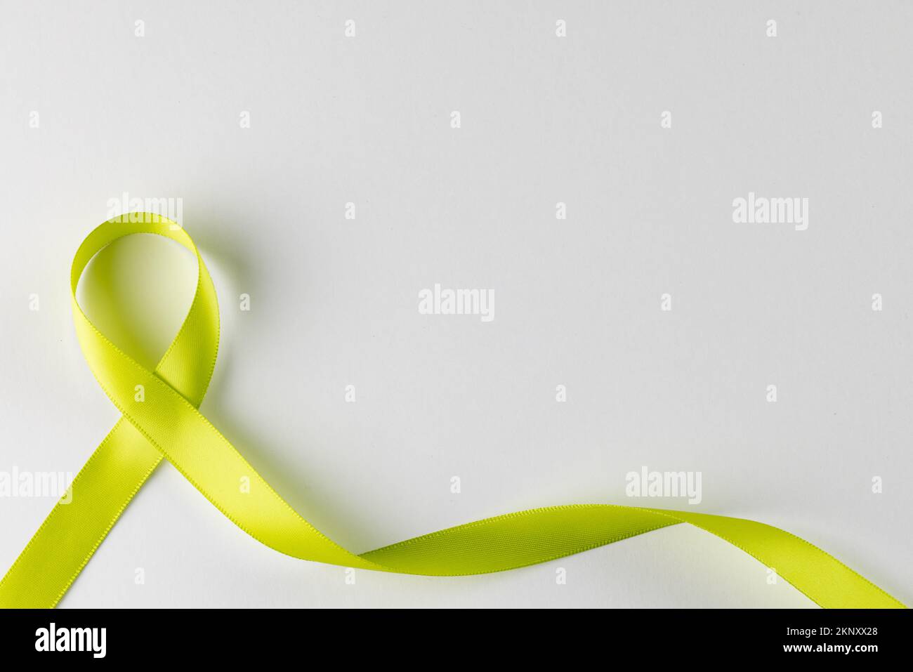 Composition of light green std health awareness ribbon, on white ...