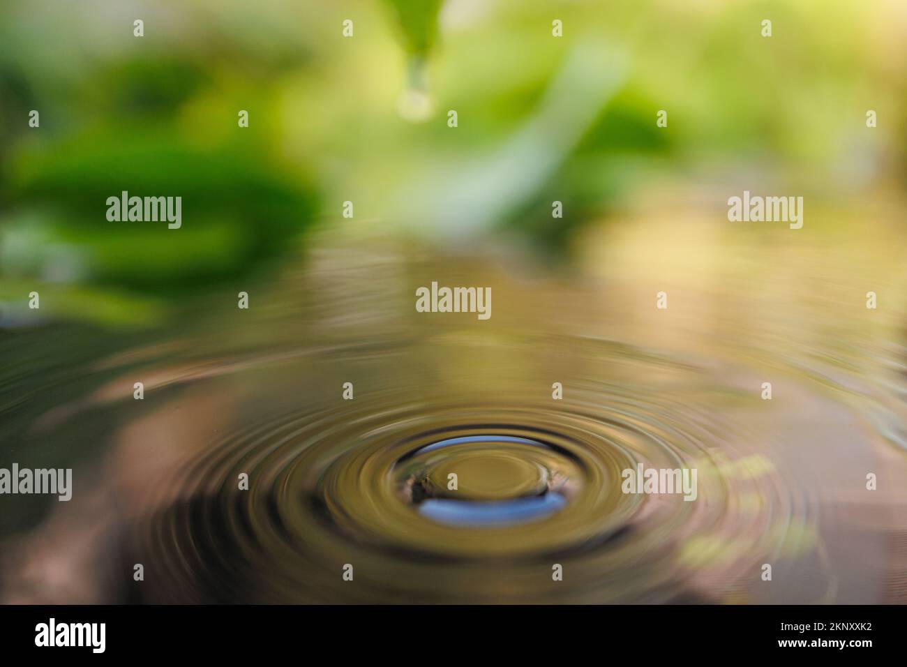 A selective focus shot of a water droplet falling in water Stock Photo ...