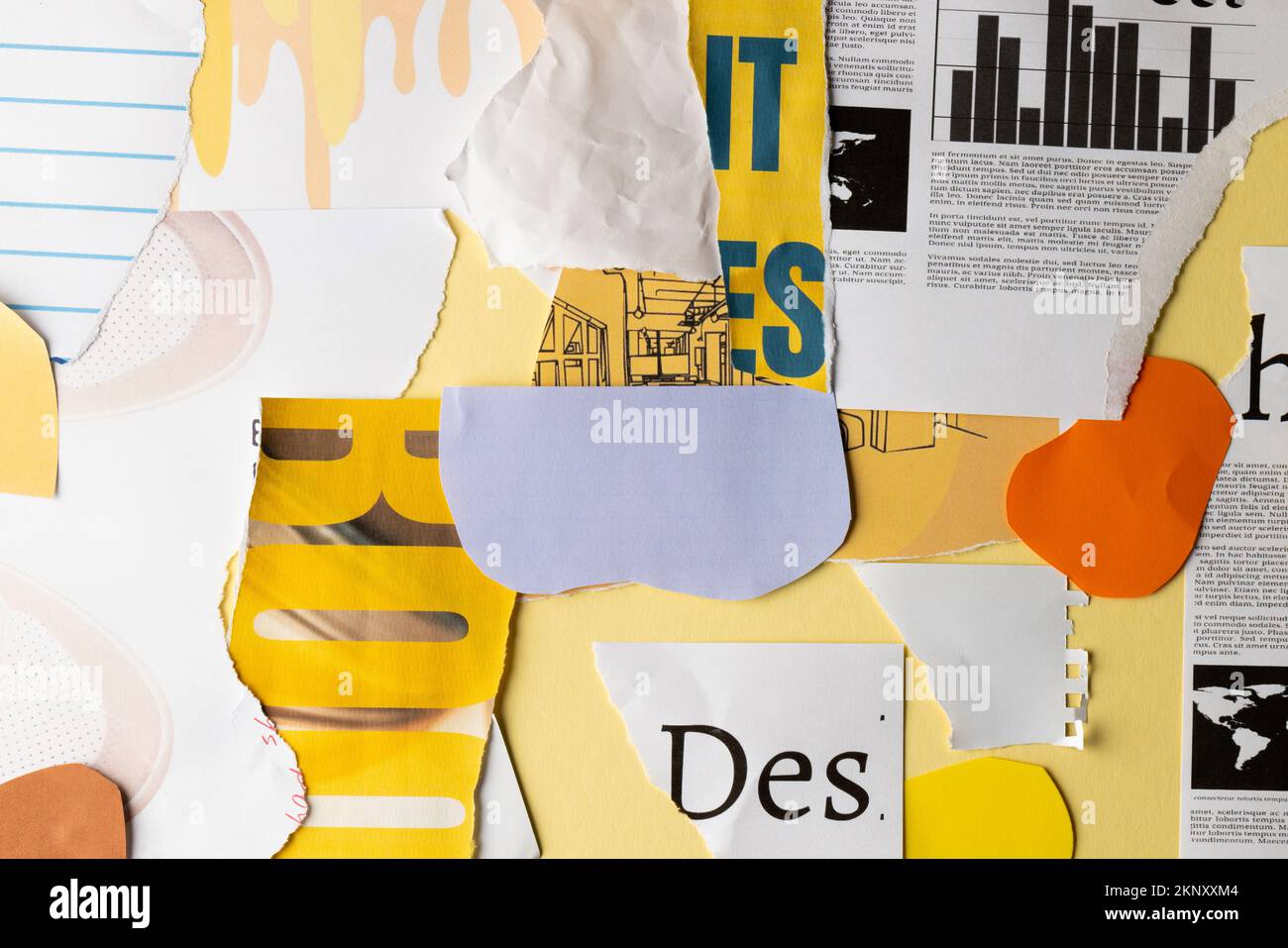 Ripped up pieces of notebooks, newspaper and coloured paper with ...