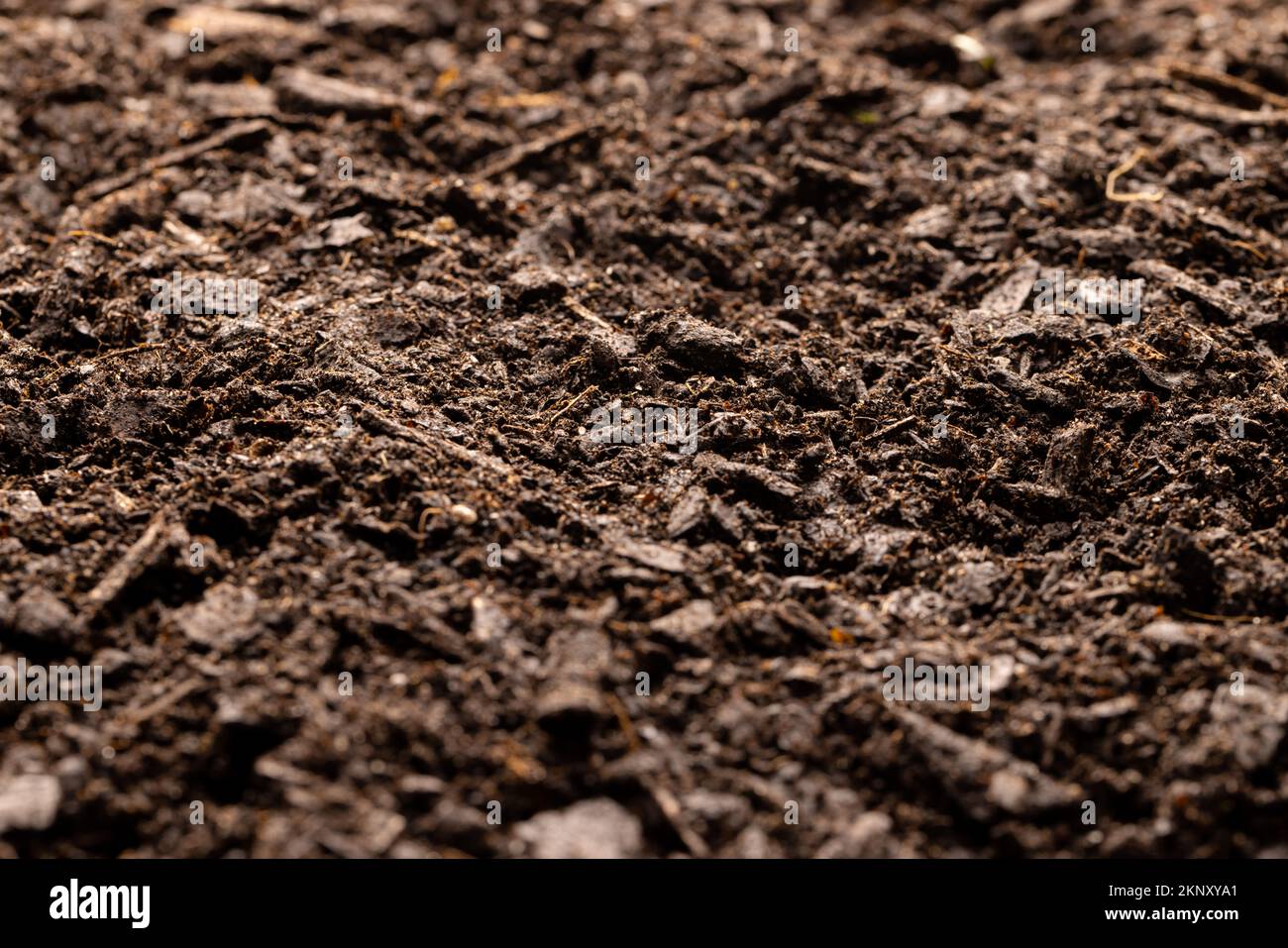 Full frame of dark rich peat soil and bark pieces Stock Photo - Alamy