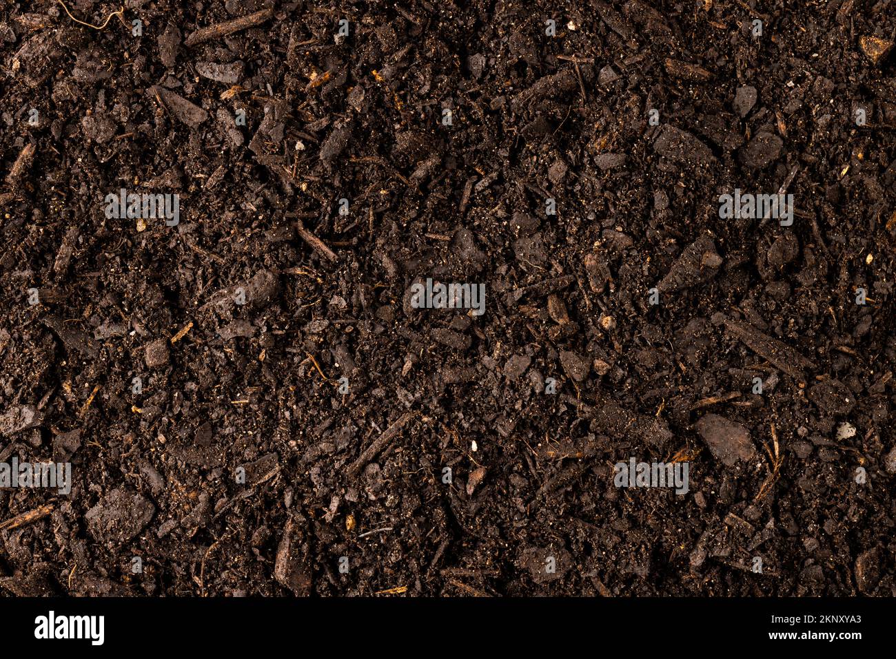 Peat soil hi-res stock photography and images - Alamy