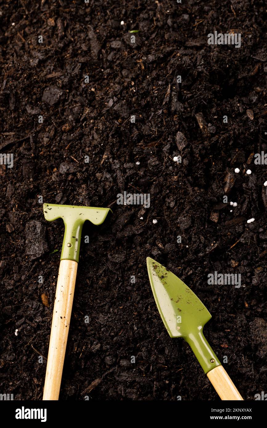 Vertical overhead of miniature gardening trowel and rake on soil with ...