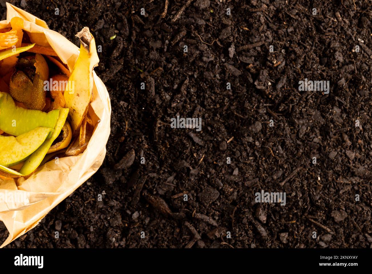 Overhead of bag of organic fruit and vegetable waste for composting on ...