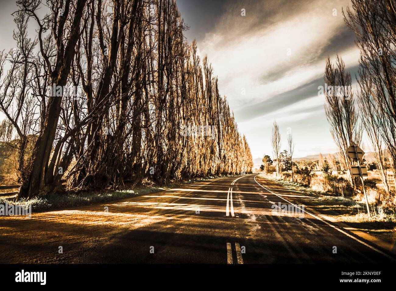 Wilderness highway tasmania tasmania hi-res stock photography and ...