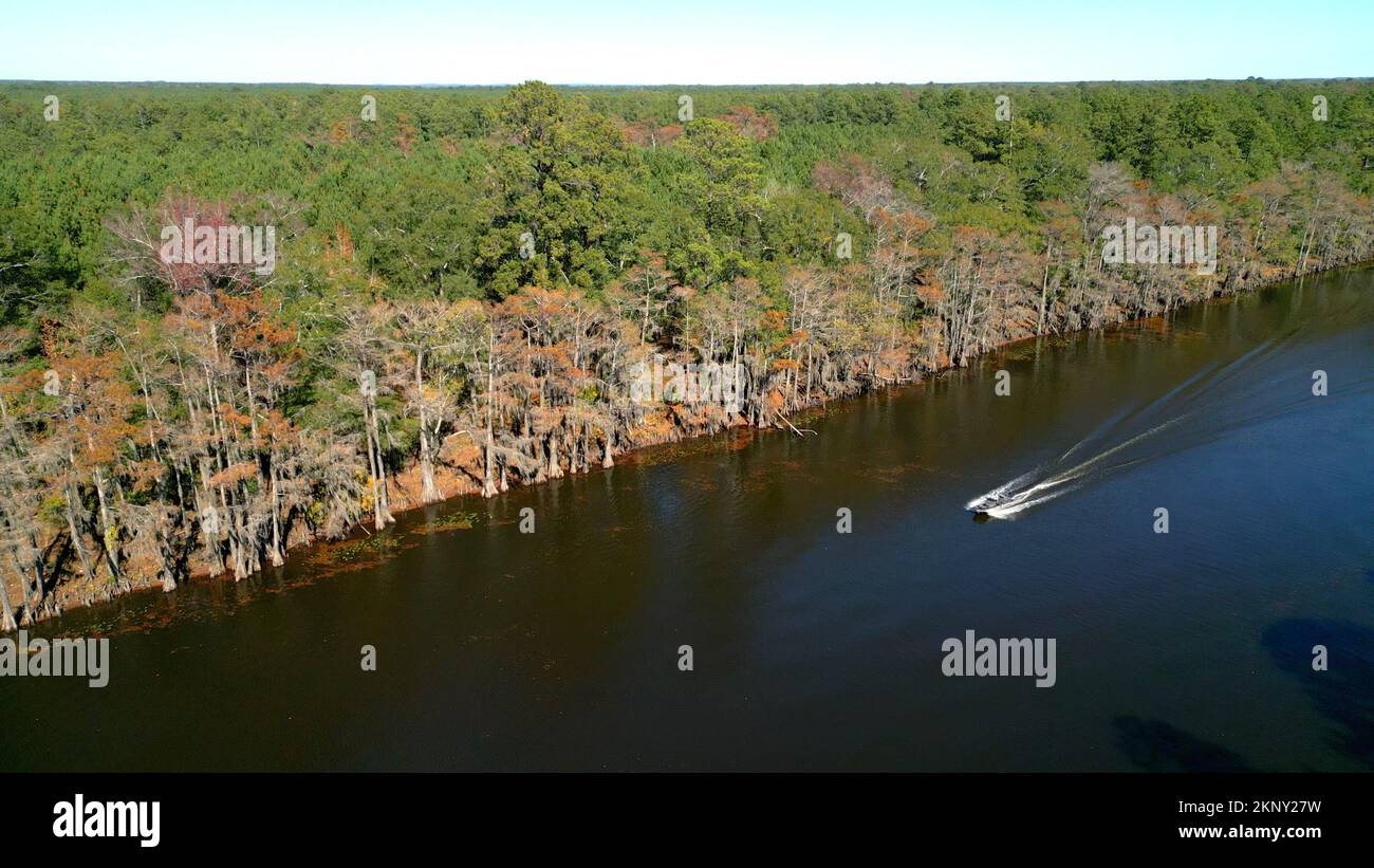 Big Cypress Bayou River at Caddo Lake State Park Stock Photo - Alamy