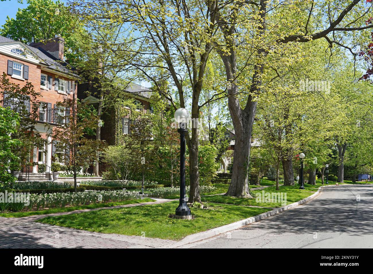 Neighborhood residential trees hi-res stock photography and images - Alamy