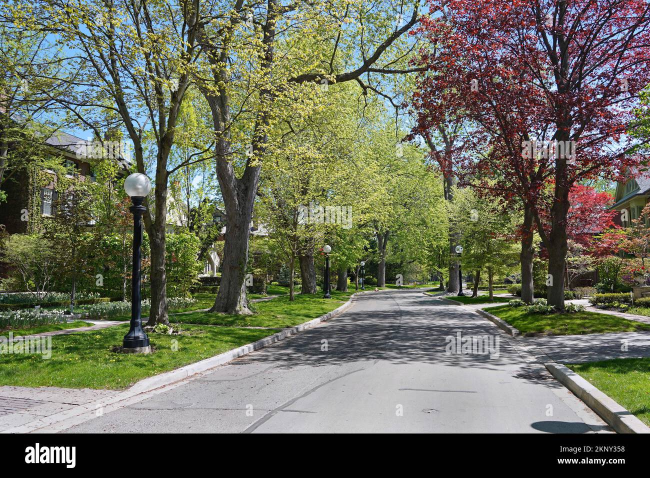 Residential tree lined street in hi-res stock photography and images ...