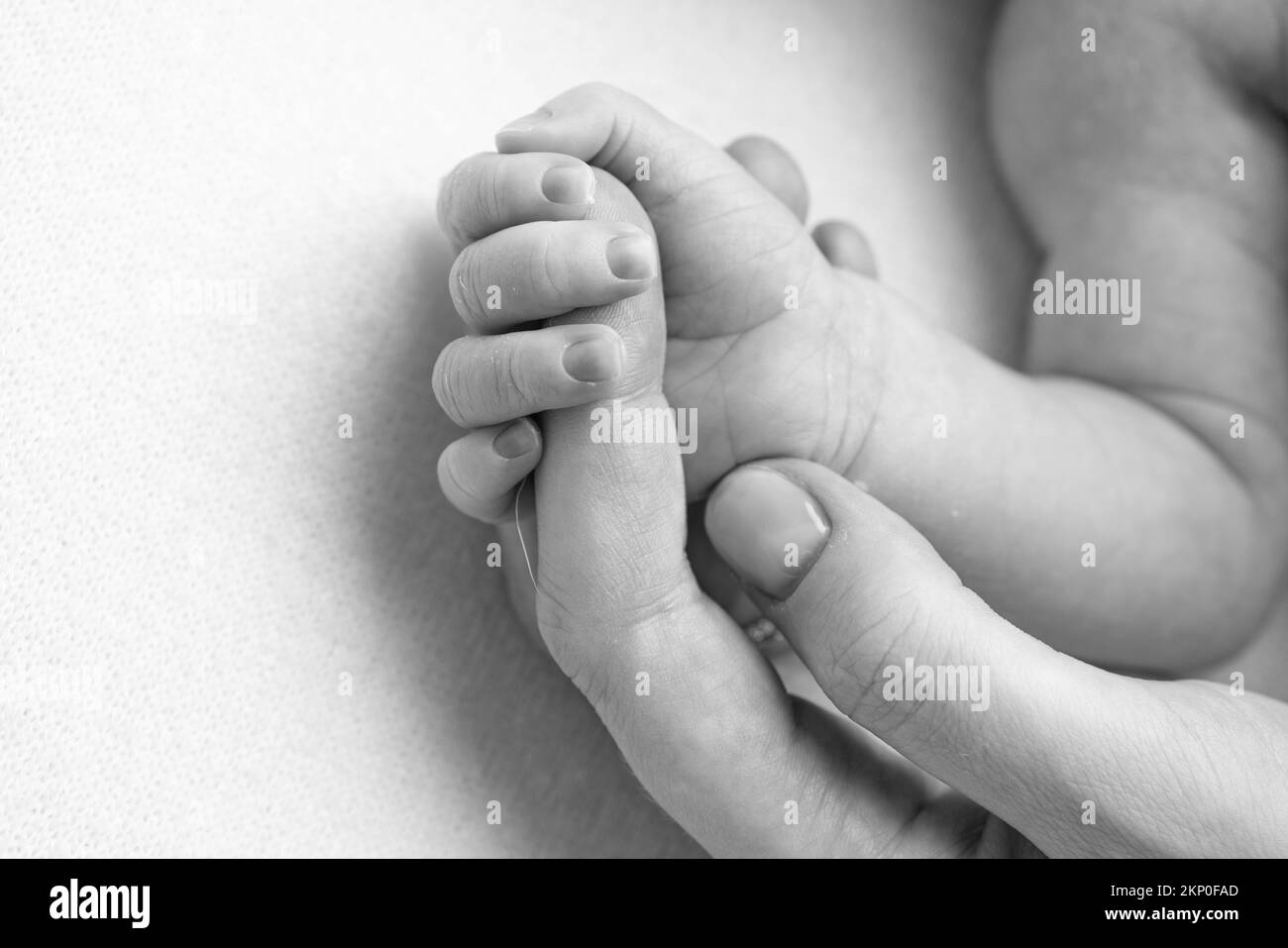 The newborn baby has a firm grip on the parent's finger after birth ...