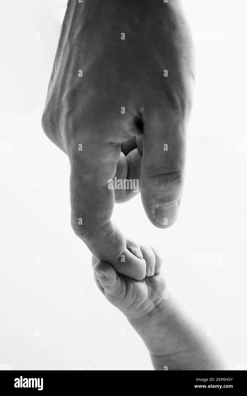 The newborn baby has a firm grip on the parent's finger after birth. A ...
