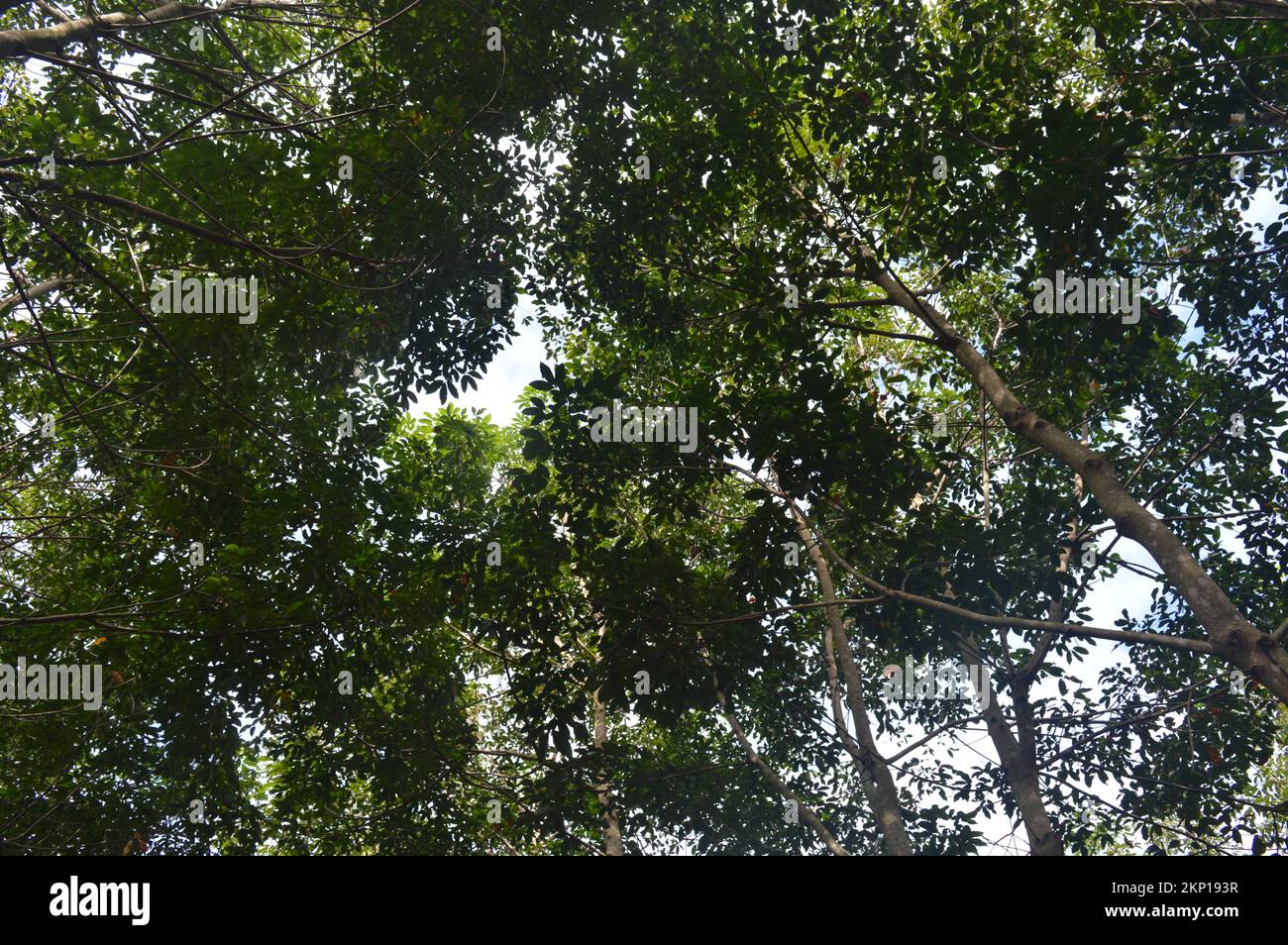 Rupper hi-res stock photography and images - Alamy