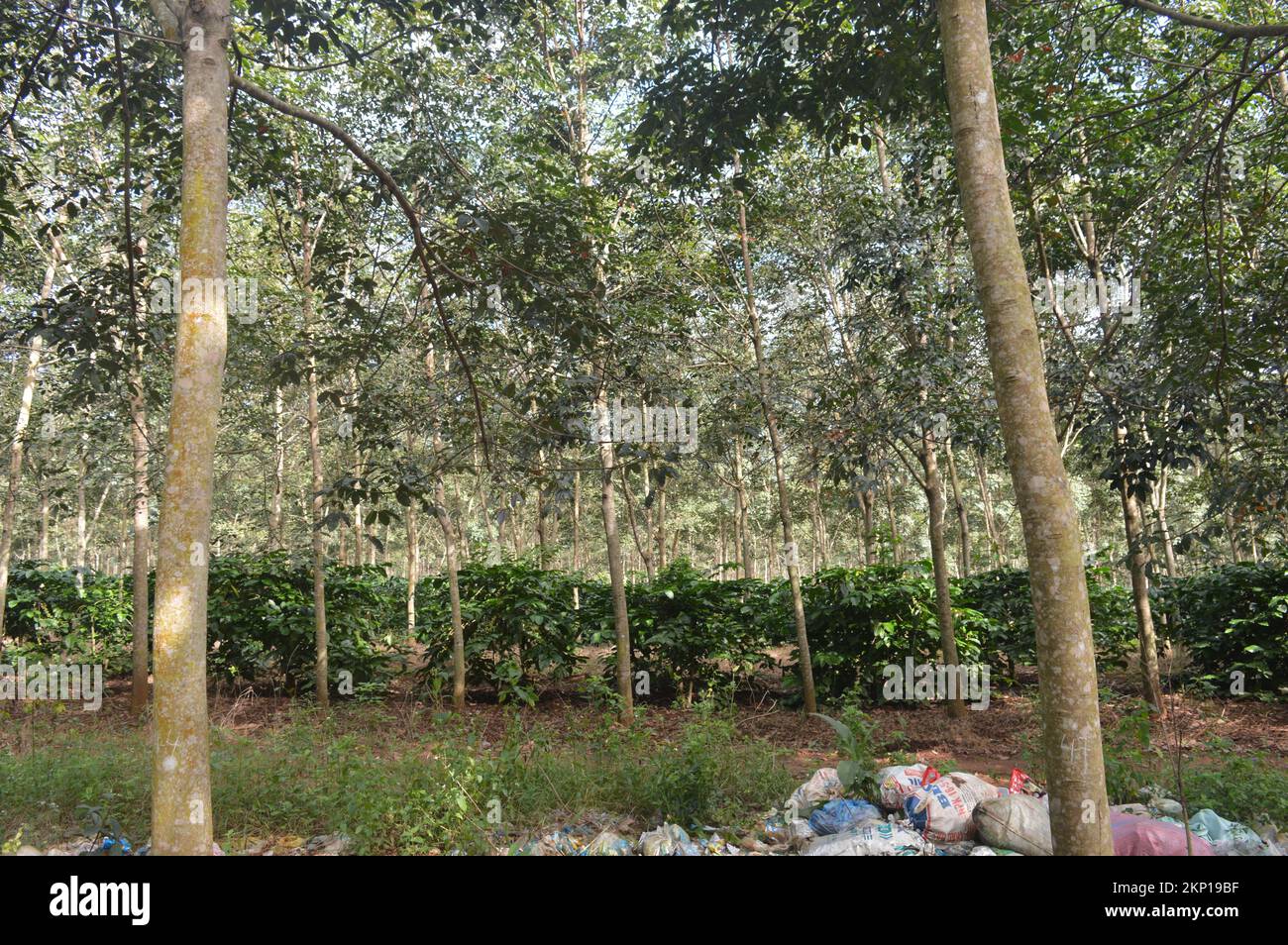 Rupper hi-res stock photography and images - Alamy