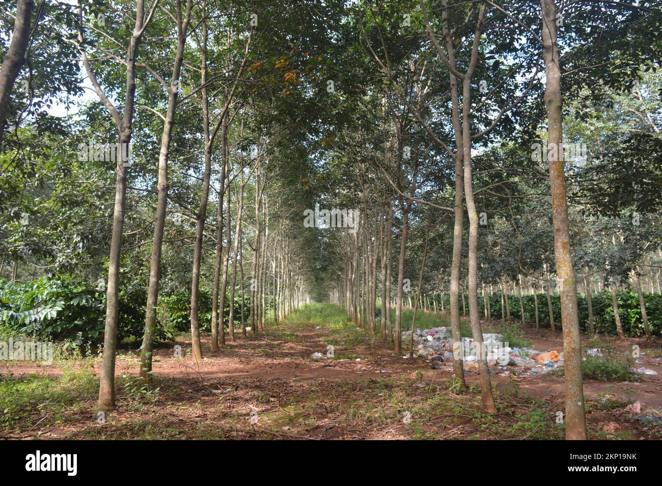 Rupper hi-res stock photography and images - Alamy