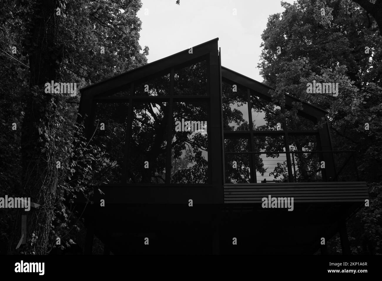 A grayscale of a modern building in the forest with the trees reflected ...