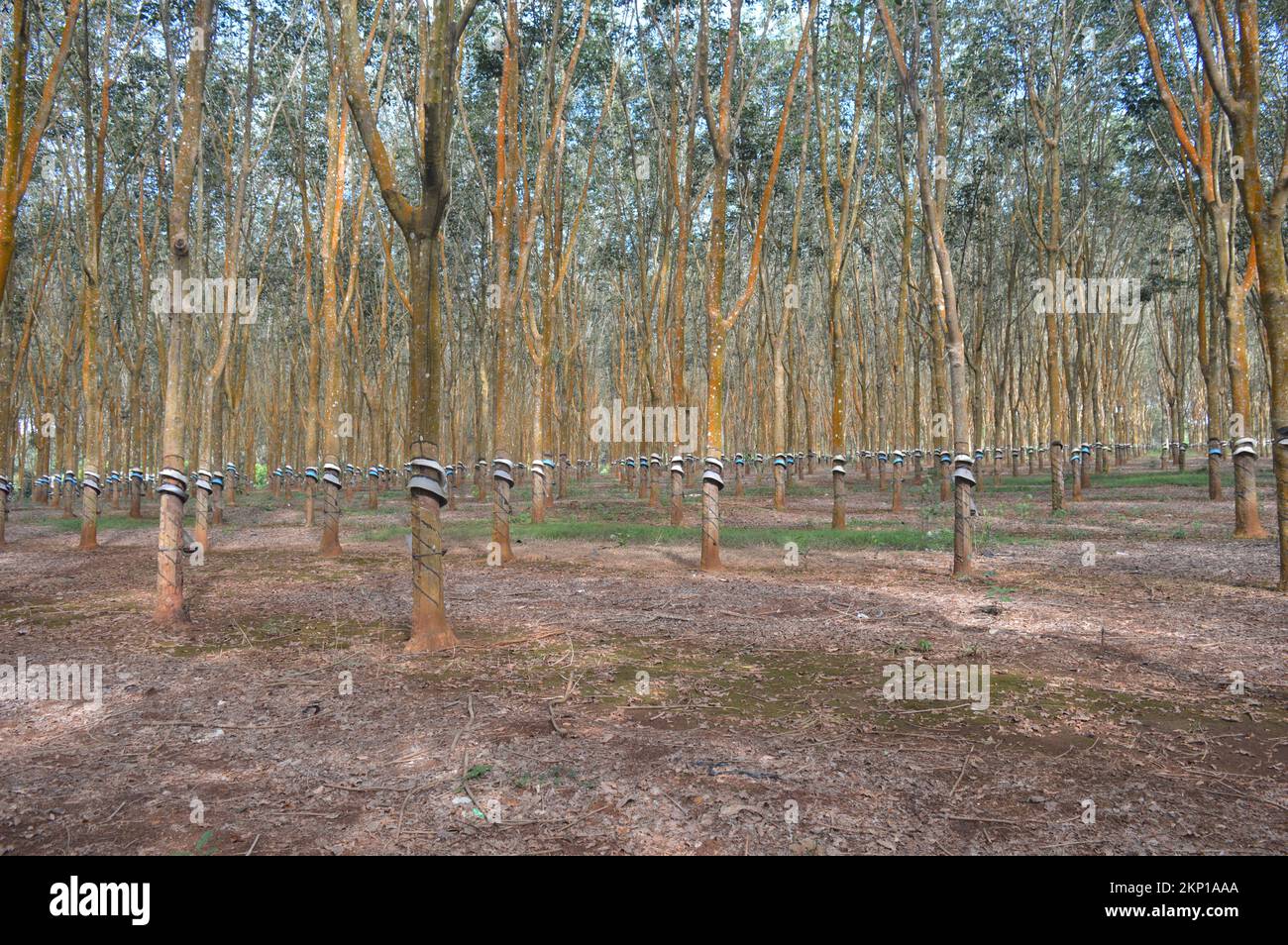 Rupper hi-res stock photography and images - Alamy