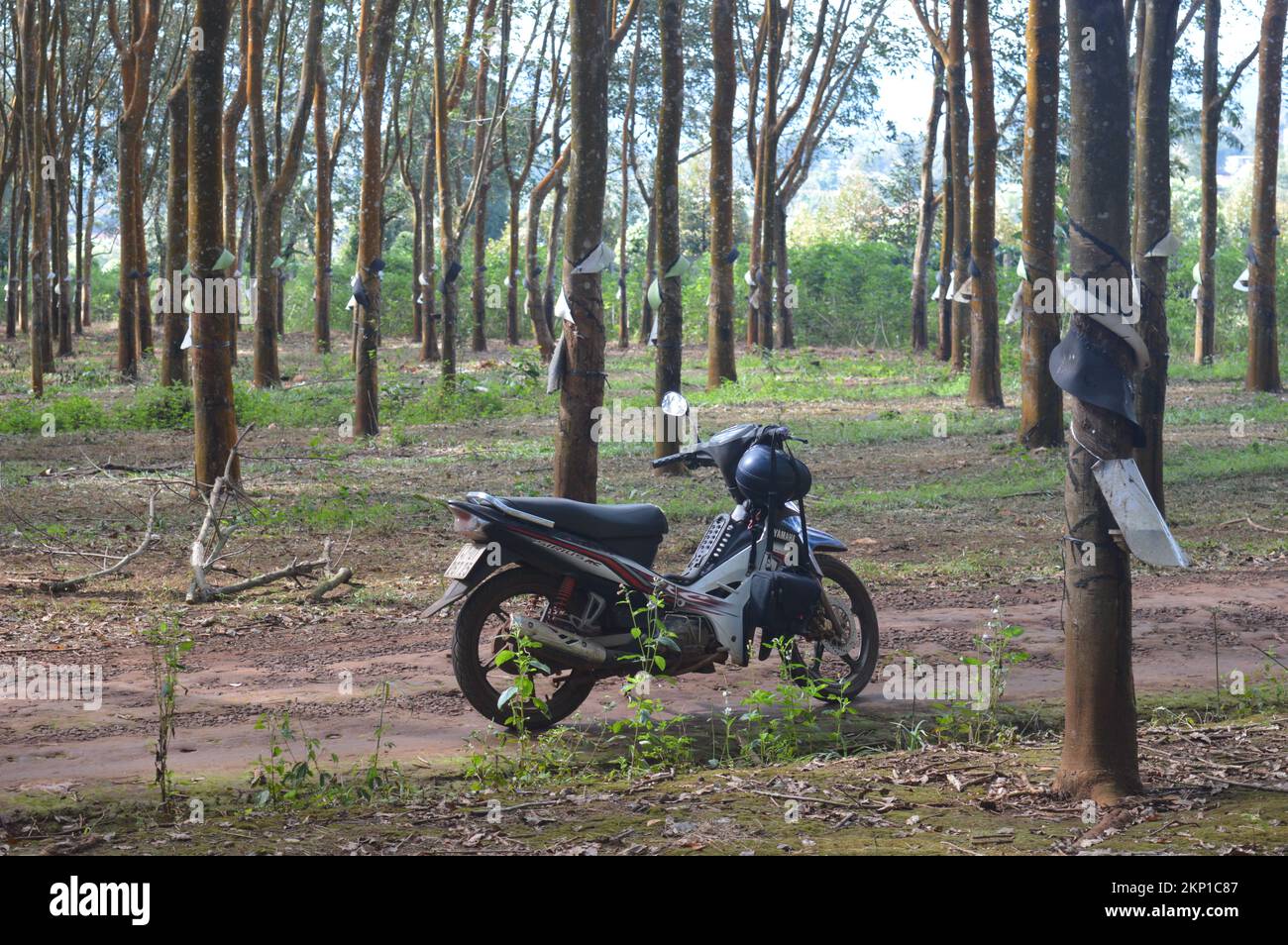 Rupper hi-res stock photography and images - Alamy