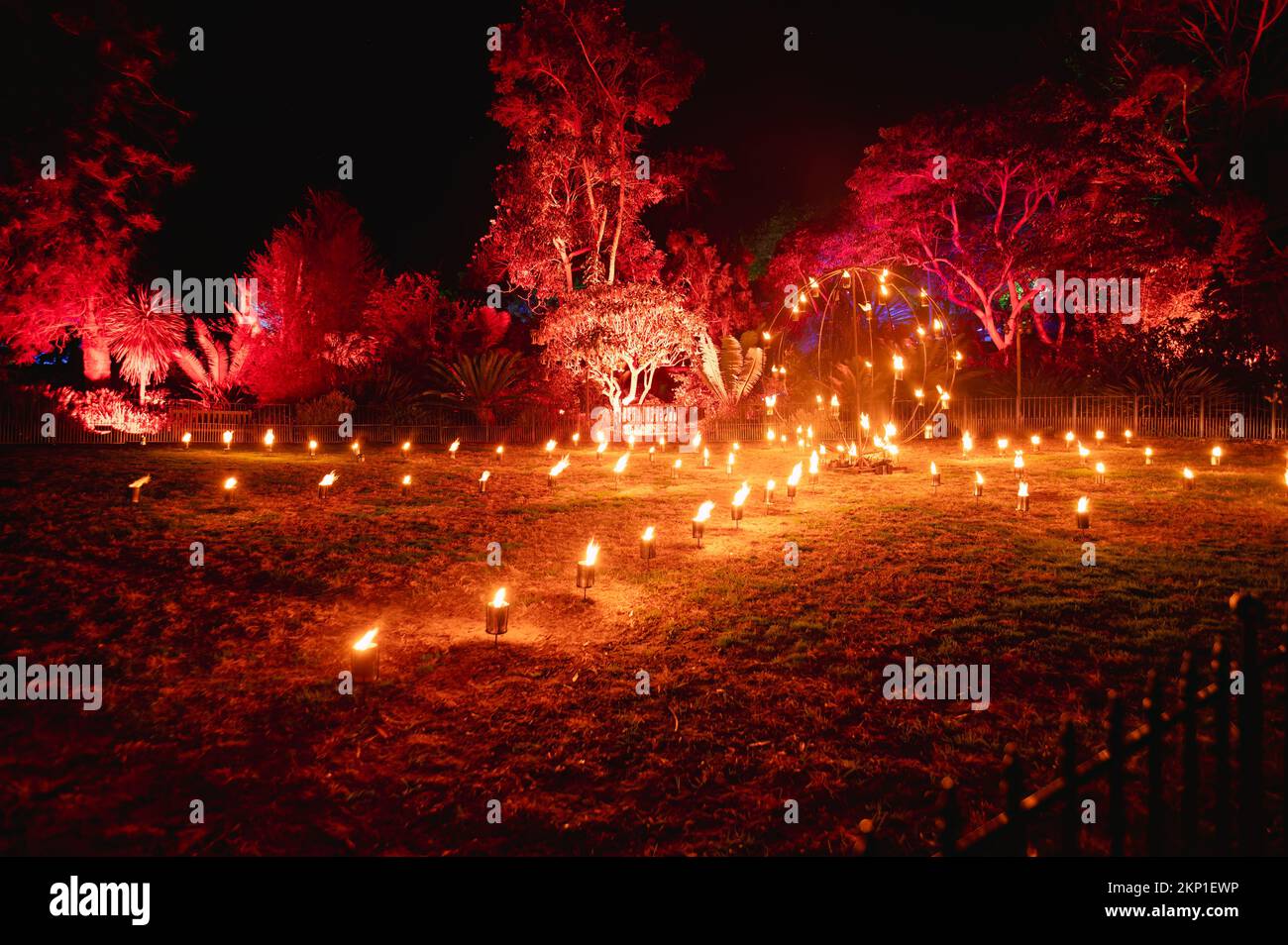 San Diego Botanic Garden holidays light show produced by WAD ...