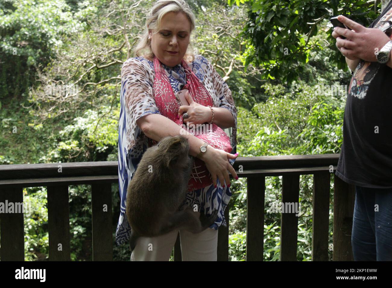 Sacred Monkey Forest Sanctuary, is one of the top things to do in Ubud ...