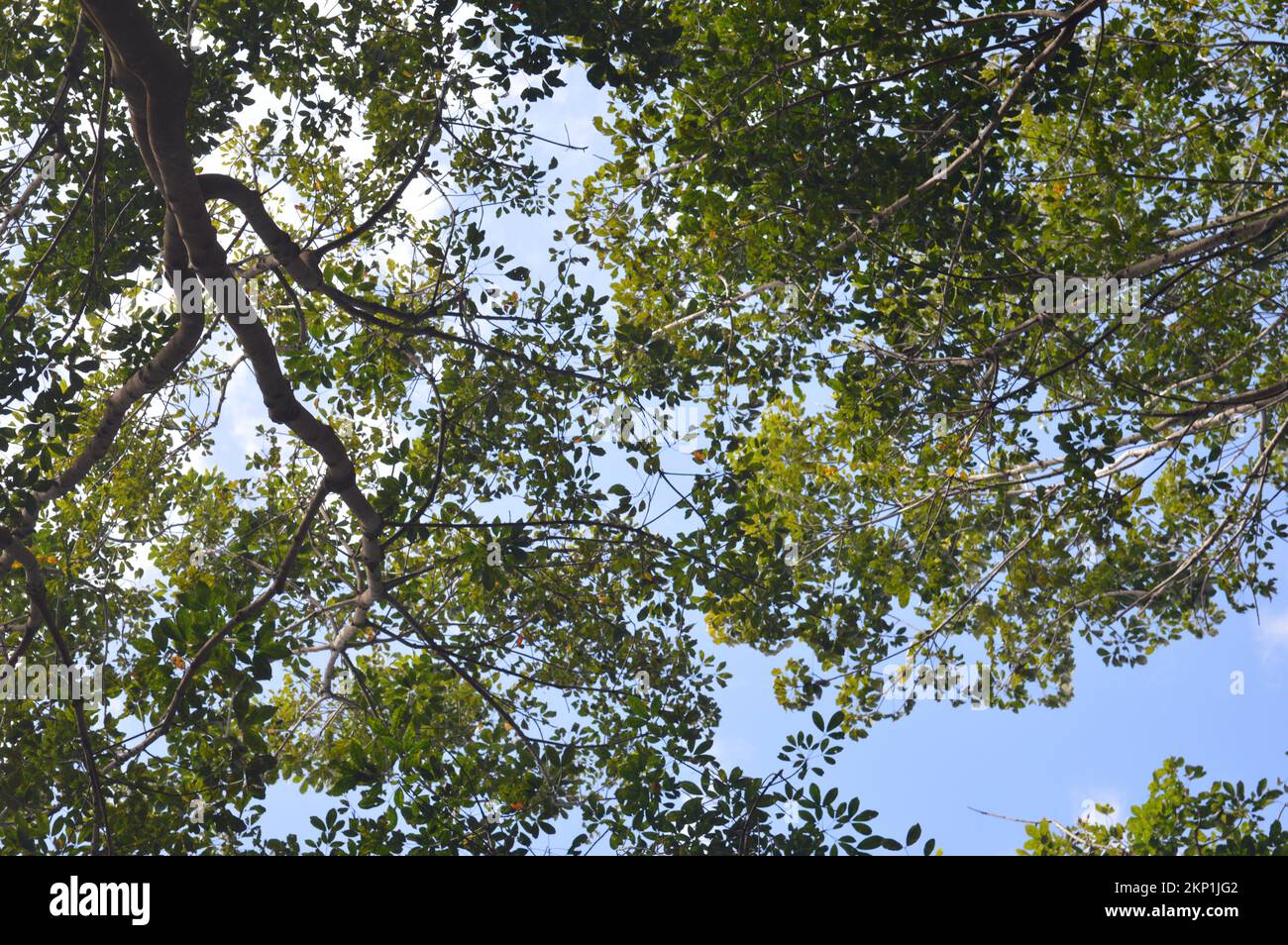 Rupper hi-res stock photography and images - Alamy