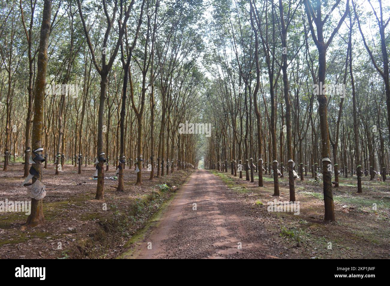 Rupper hi-res stock photography and images - Alamy