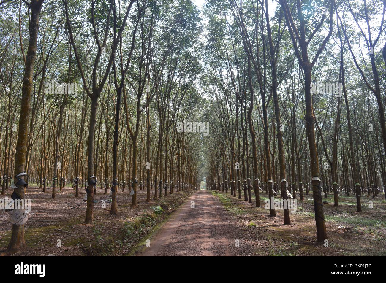 Rupper hi-res stock photography and images - Alamy