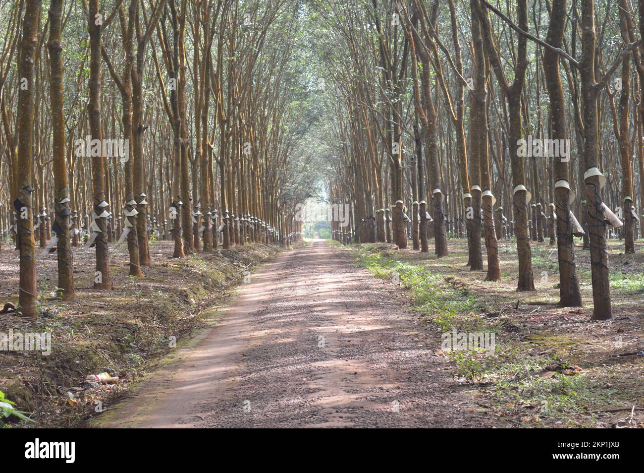 Rupper hi-res stock photography and images - Alamy