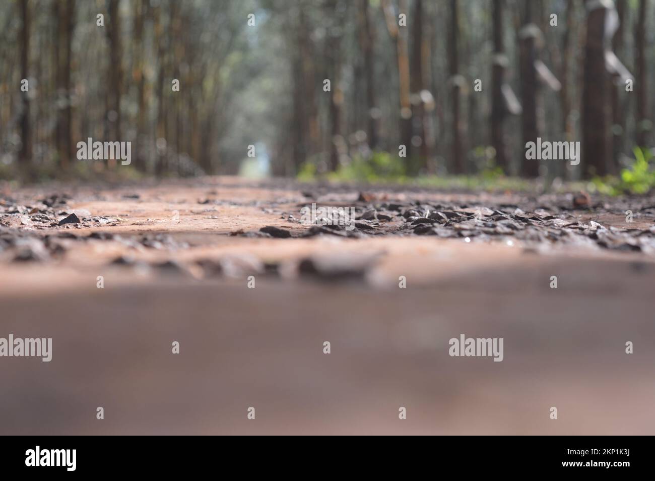 Rupper hi-res stock photography and images - Alamy