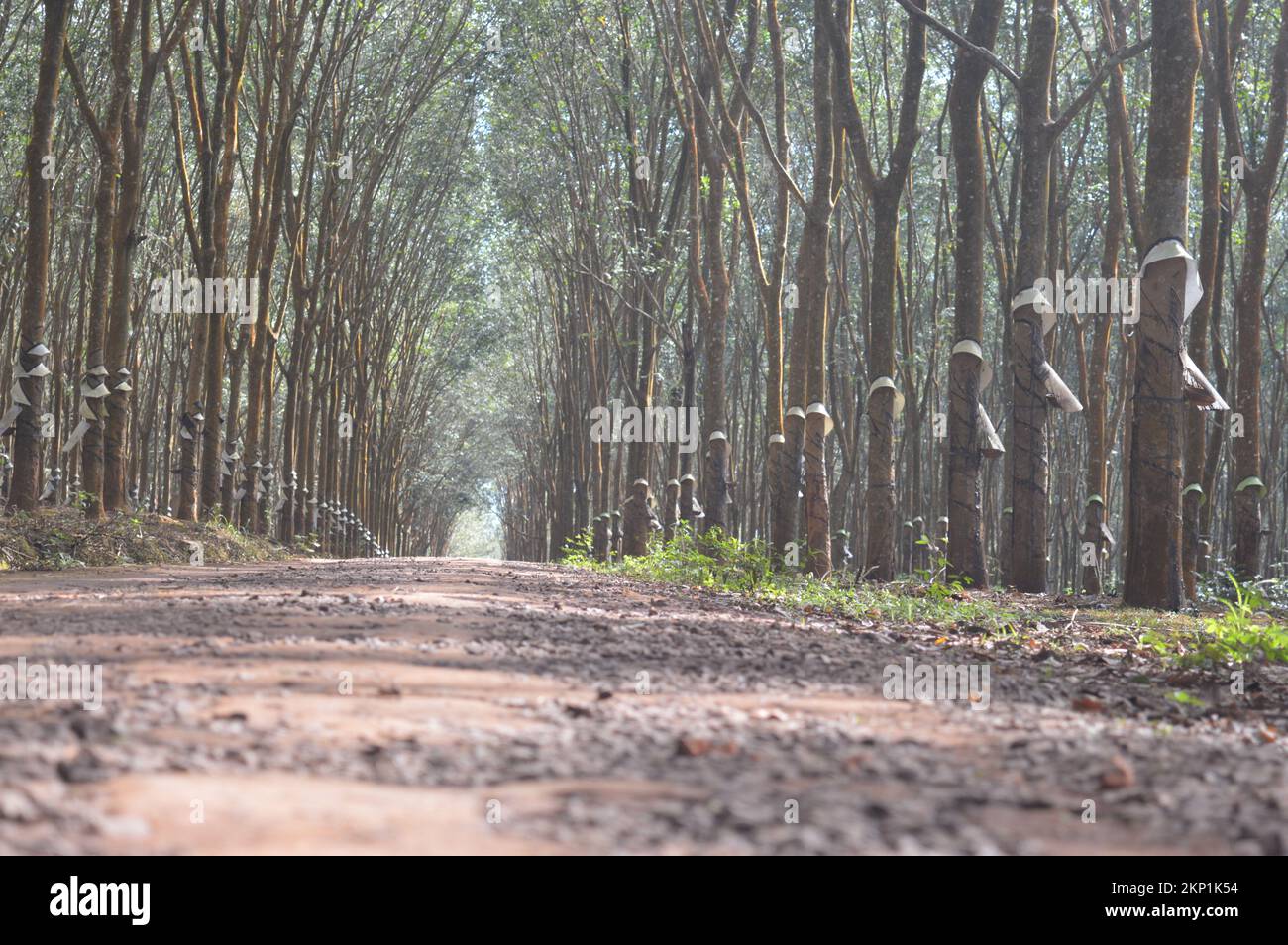 Rupper hi-res stock photography and images - Alamy