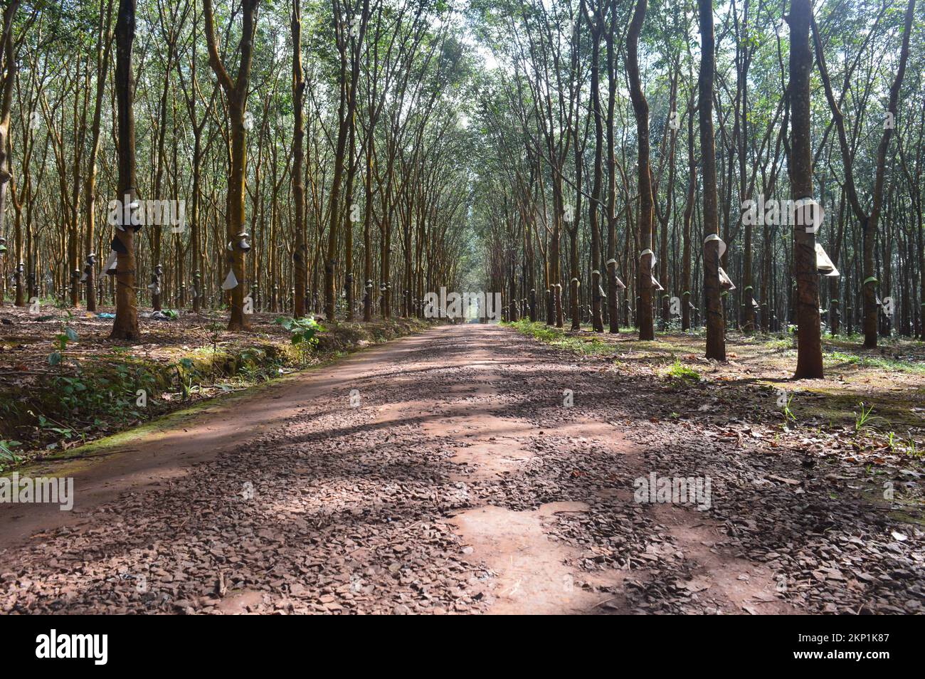 Rupper hi-res stock photography and images - Alamy