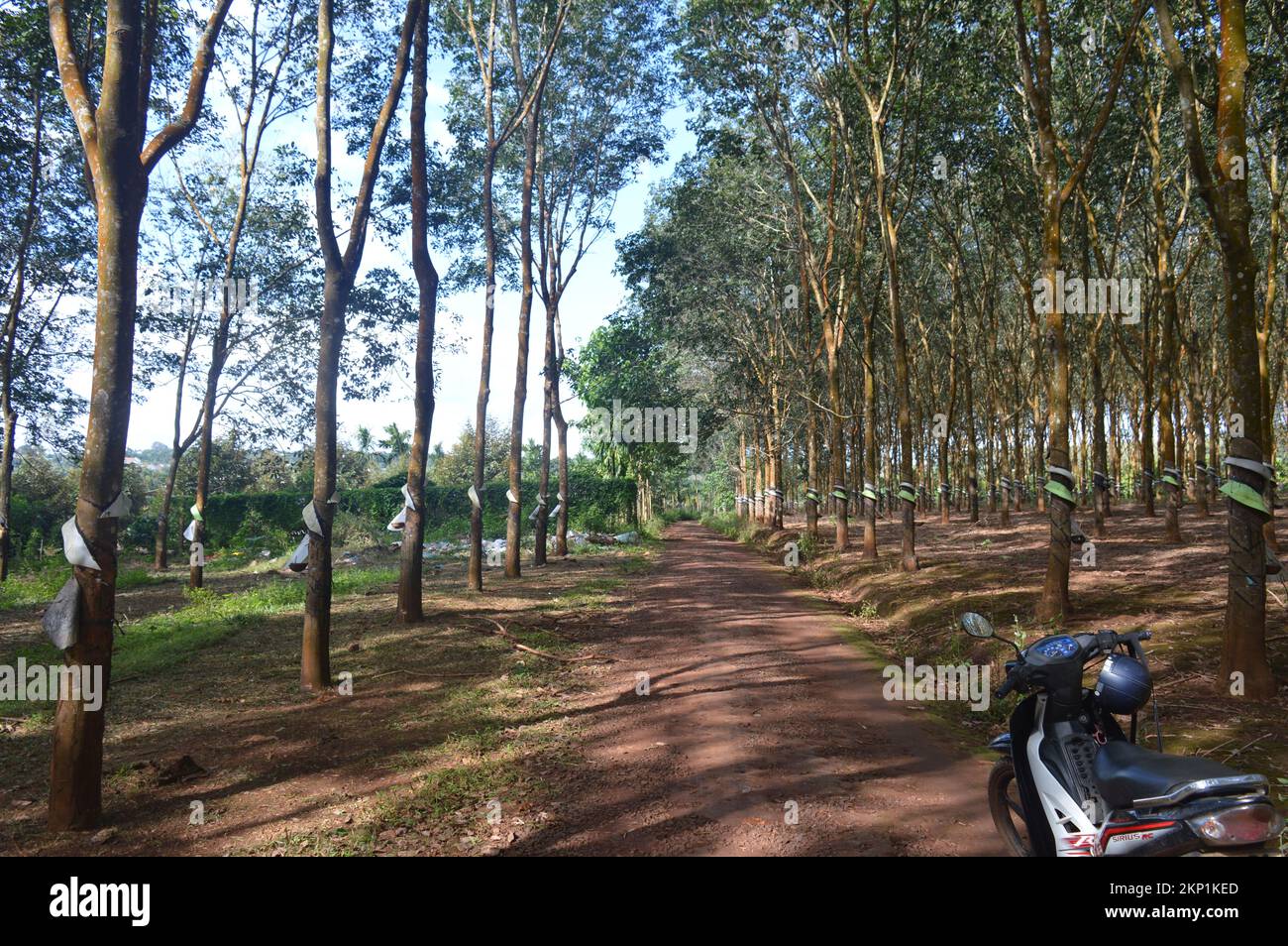 Rupper hi-res stock photography and images - Alamy