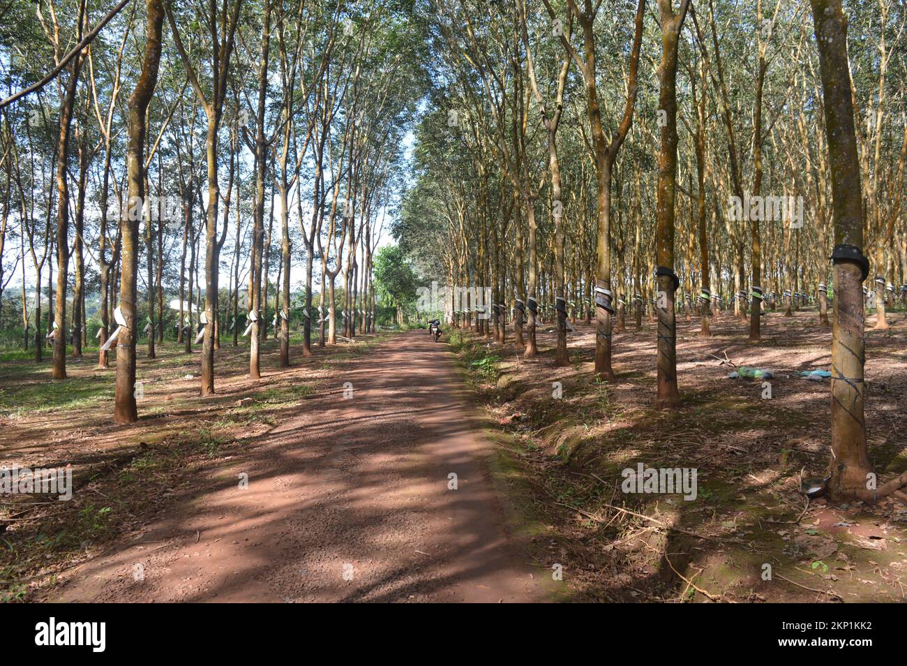 Rupper hi-res stock photography and images - Alamy