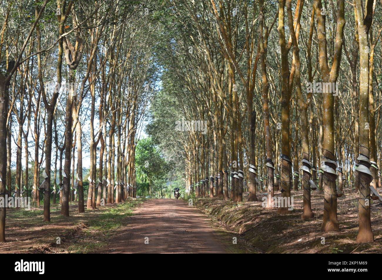 Rupper hi-res stock photography and images - Alamy