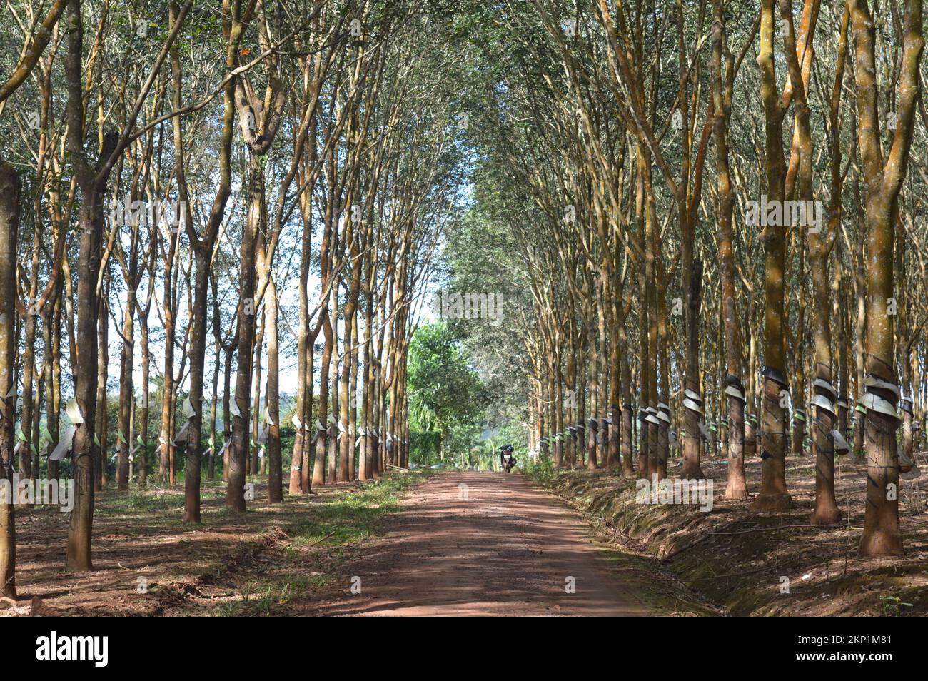 Rupper hi-res stock photography and images - Alamy