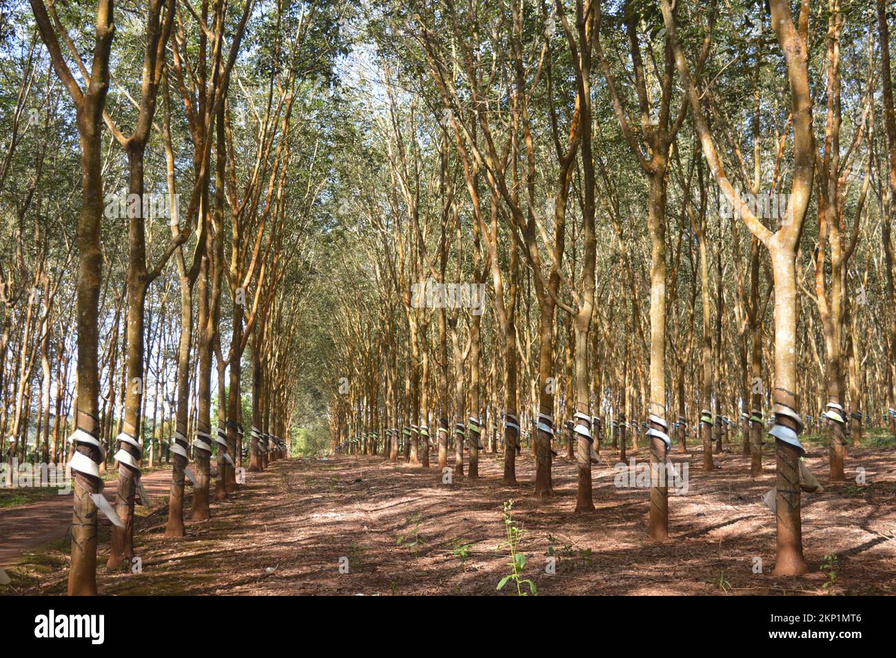 Rupper hi-res stock photography and images - Alamy