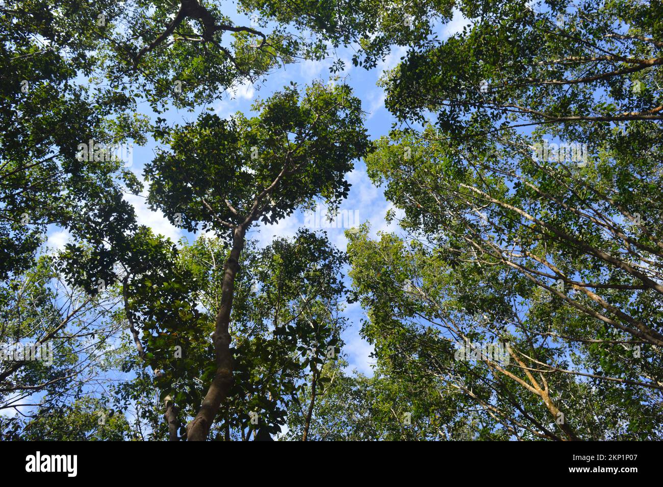 Rupper hi-res stock photography and images - Alamy