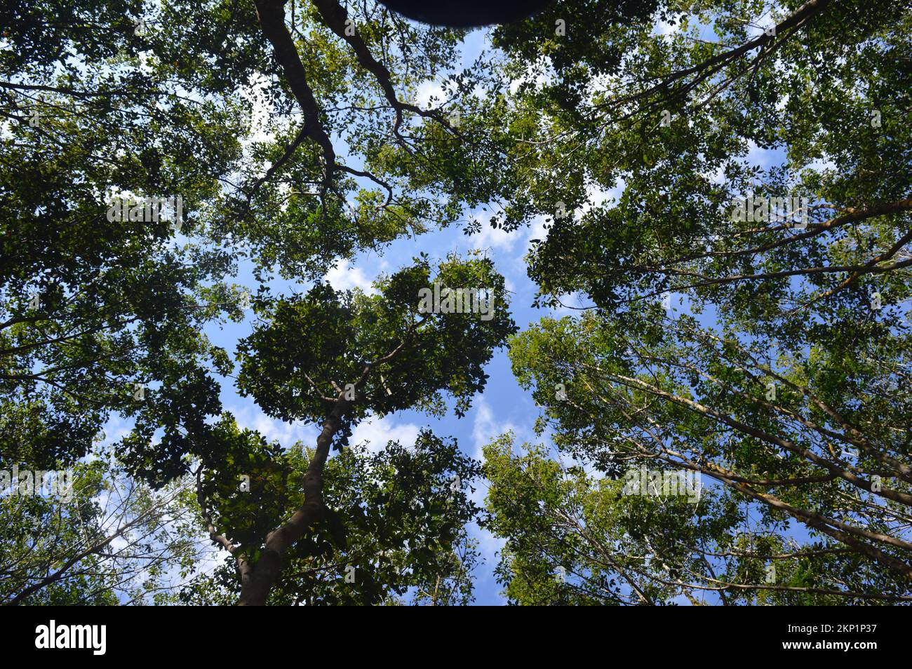 Rupper hi-res stock photography and images - Alamy