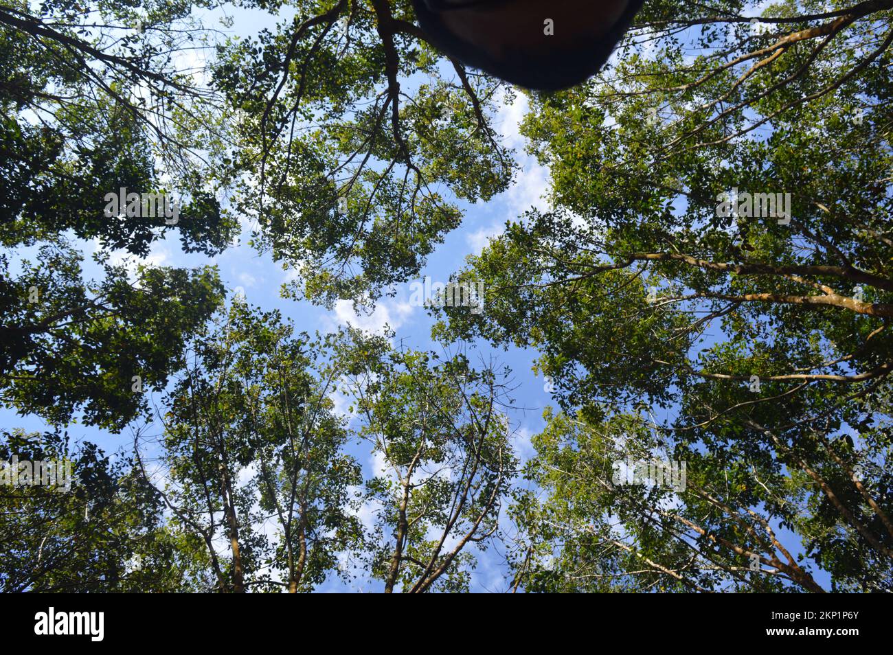 Rupper hi-res stock photography and images - Alamy