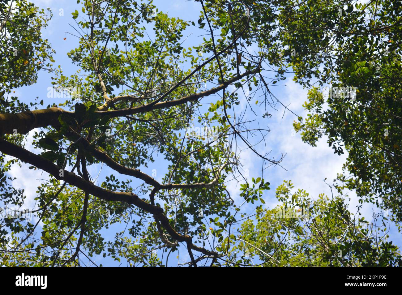 Rupper hi-res stock photography and images - Alamy