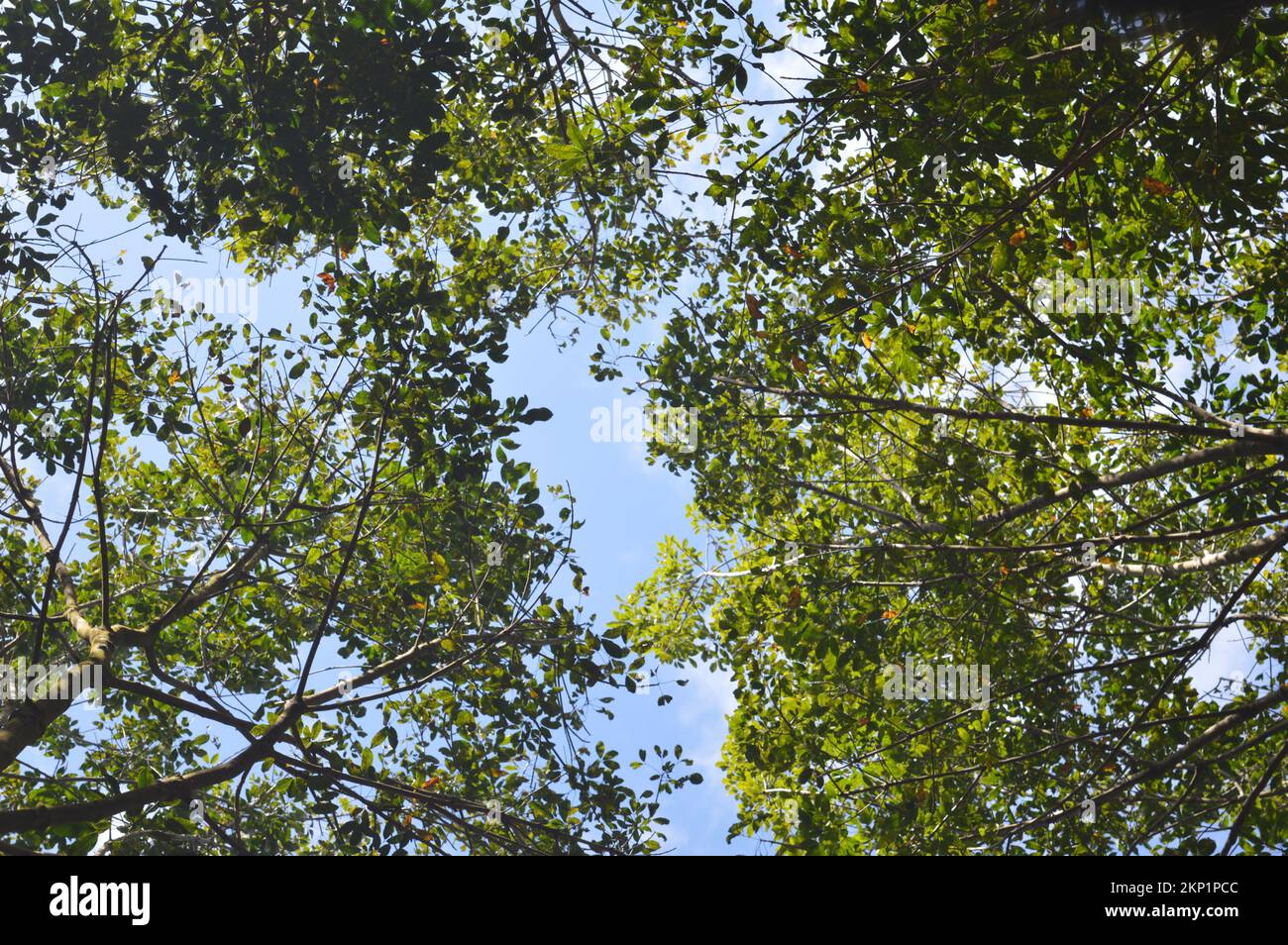 Rupper hi-res stock photography and images - Alamy