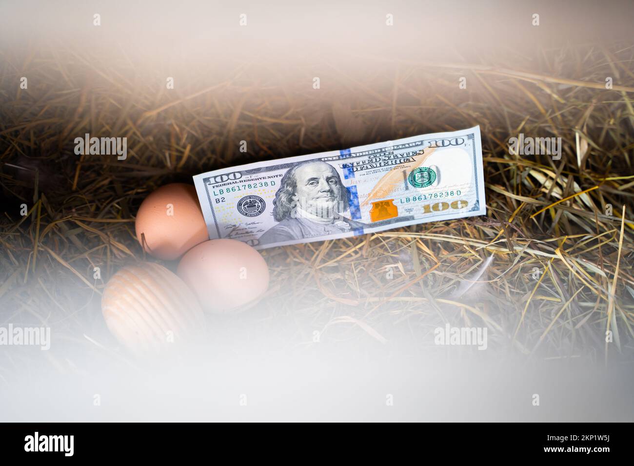 Cash in a chicken nest with homemade eggs close up. One hundred us ...