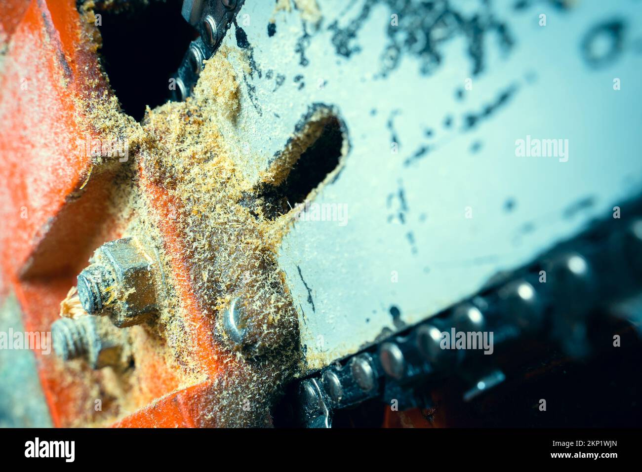 The fastening of the chainsaw tire is plastered with sawdust and oil ...