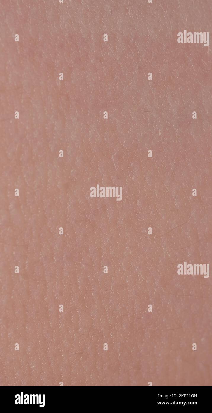 Abstract detail background young hi-res stock photography and images ...
