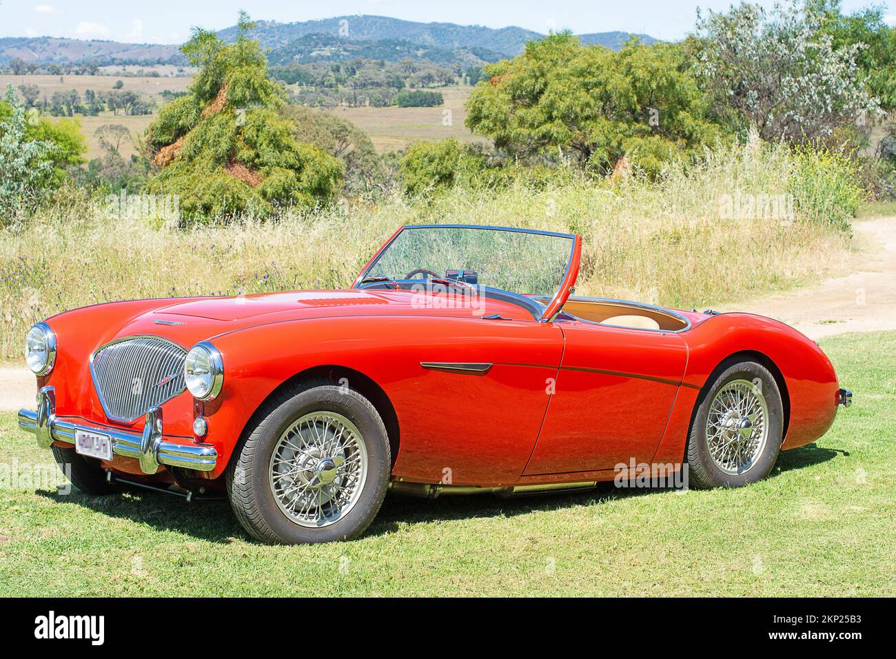 A red 1952 Austin Healey 100 sports care Stock Photo - Alamy