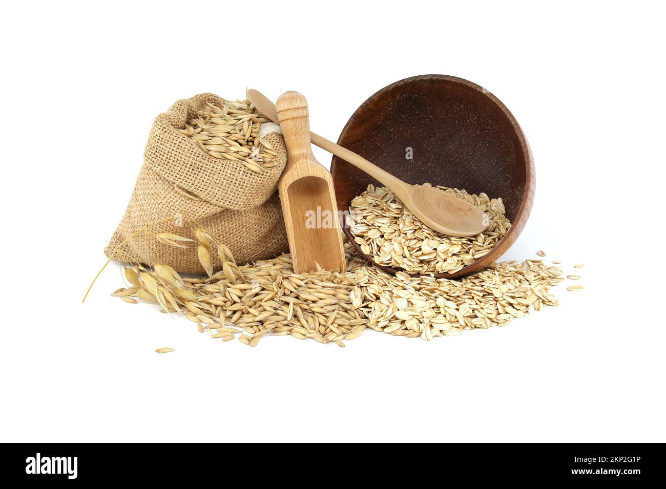Oat grains with hulls or husks in burlap bag and oats groats rolled and ...
