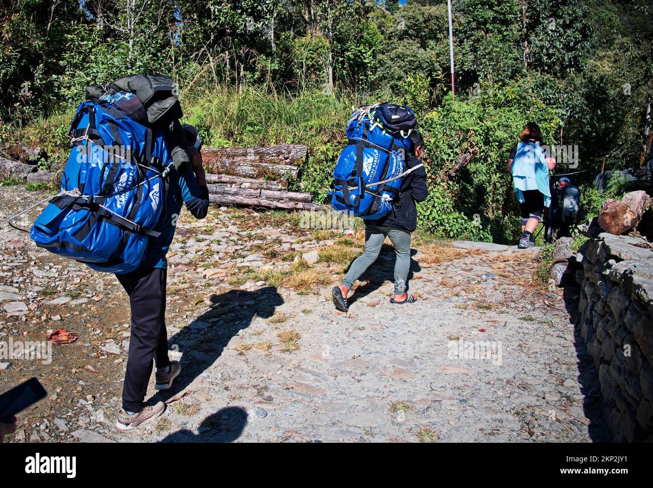 The porters and hikers in Himalaya mountains, Nepal Stock Photo - Alamy